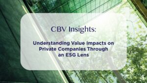 Chartered Business Valuators Institute | CBV Institute